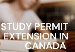 Our Services - Immigration Mentors